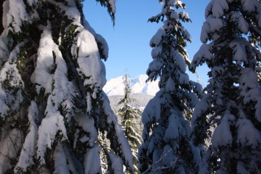 Reservations – The Yurt – Mount Tahoma Trails Association